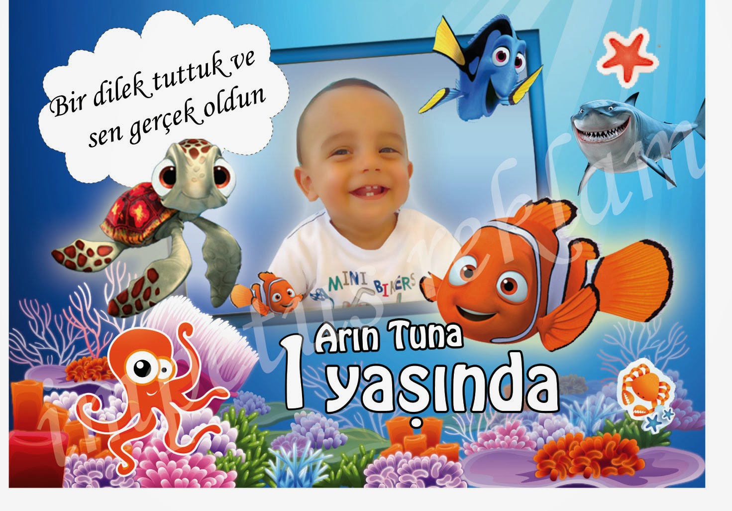 partizamani: KAYIP BALIK NEMO PARTİ