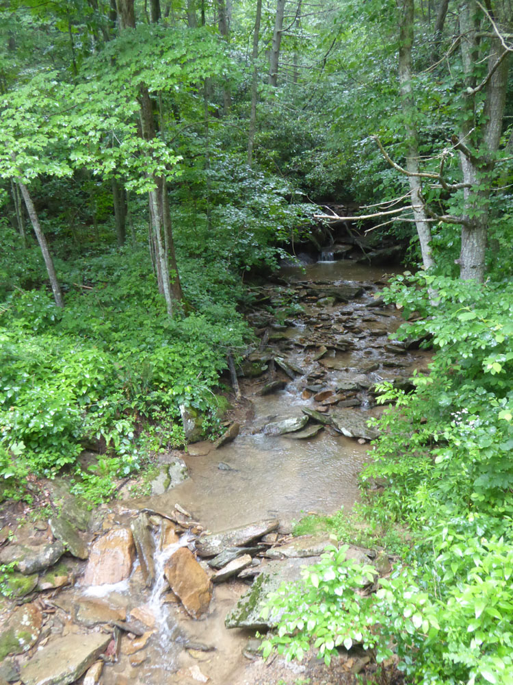 The Enchanted Tree: New River Trail- Fries Junction