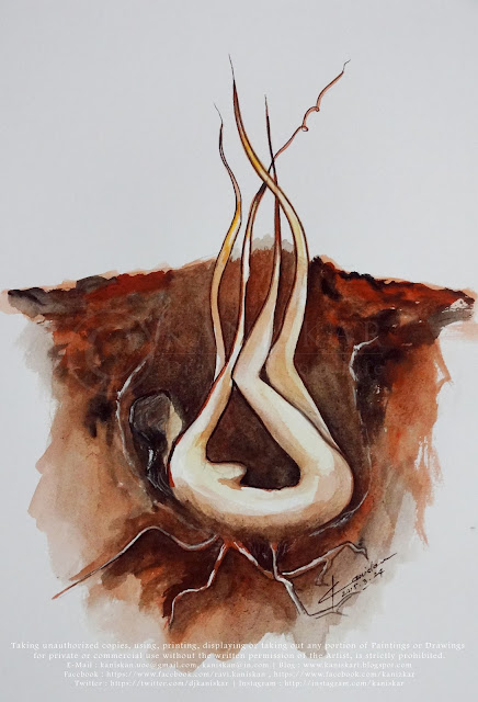 Reborn ~ Drawing From Life