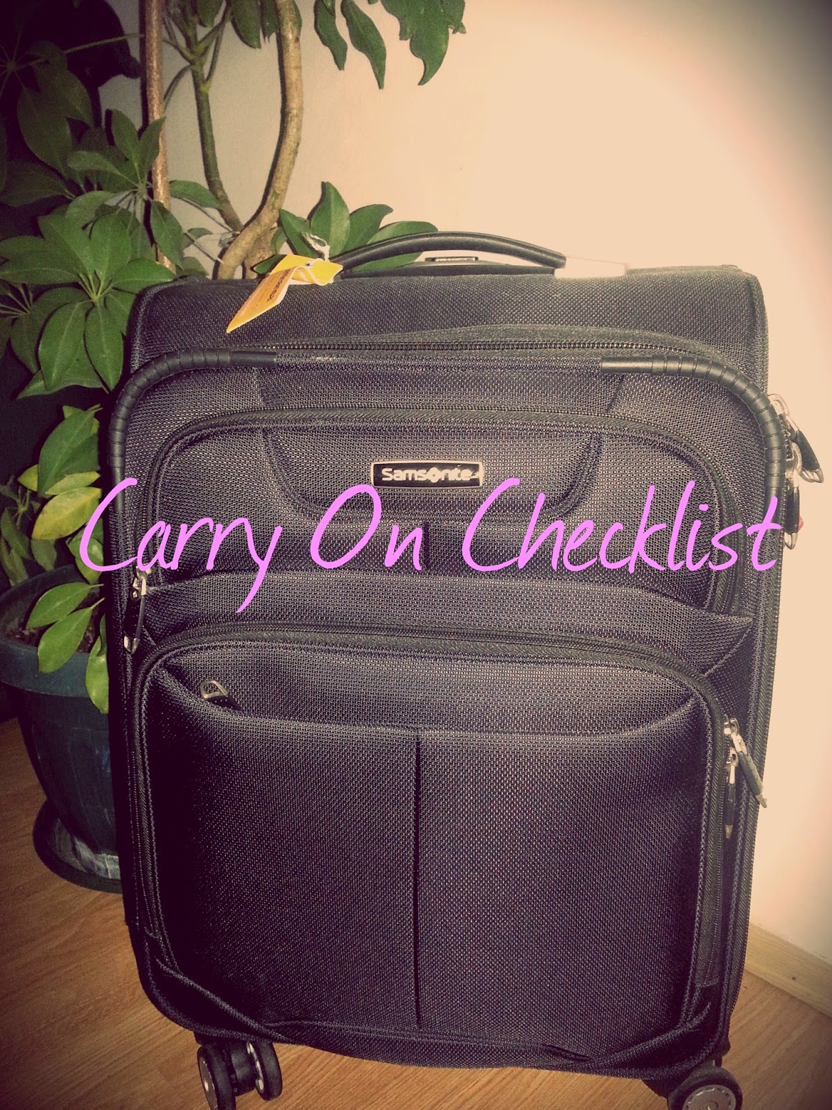 Carry On Checklist: A Guide To Packing Your Carry On