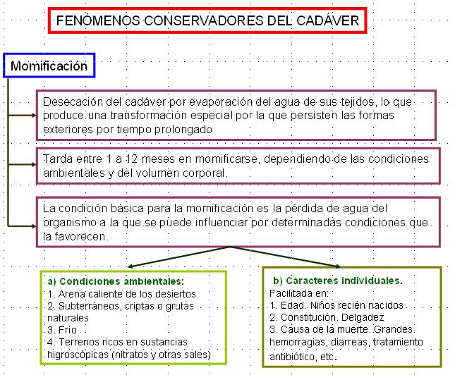 Momificación, saponificación, corificación, congelación ...