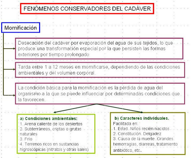 Momificación, saponificación, corificación, congelación ...