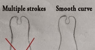 The BioLogs: Drawing Rules for Biological Drawings