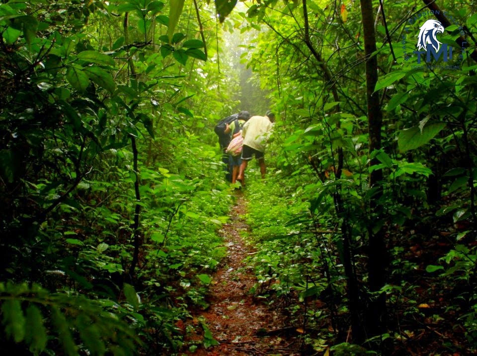 TMI: 3D/2N Trekking & Camping to Dense Forest & Waterfalls in mighty ...