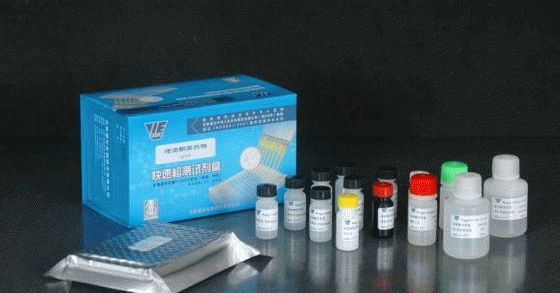 bioassayas: Cholesterol Assay Kit