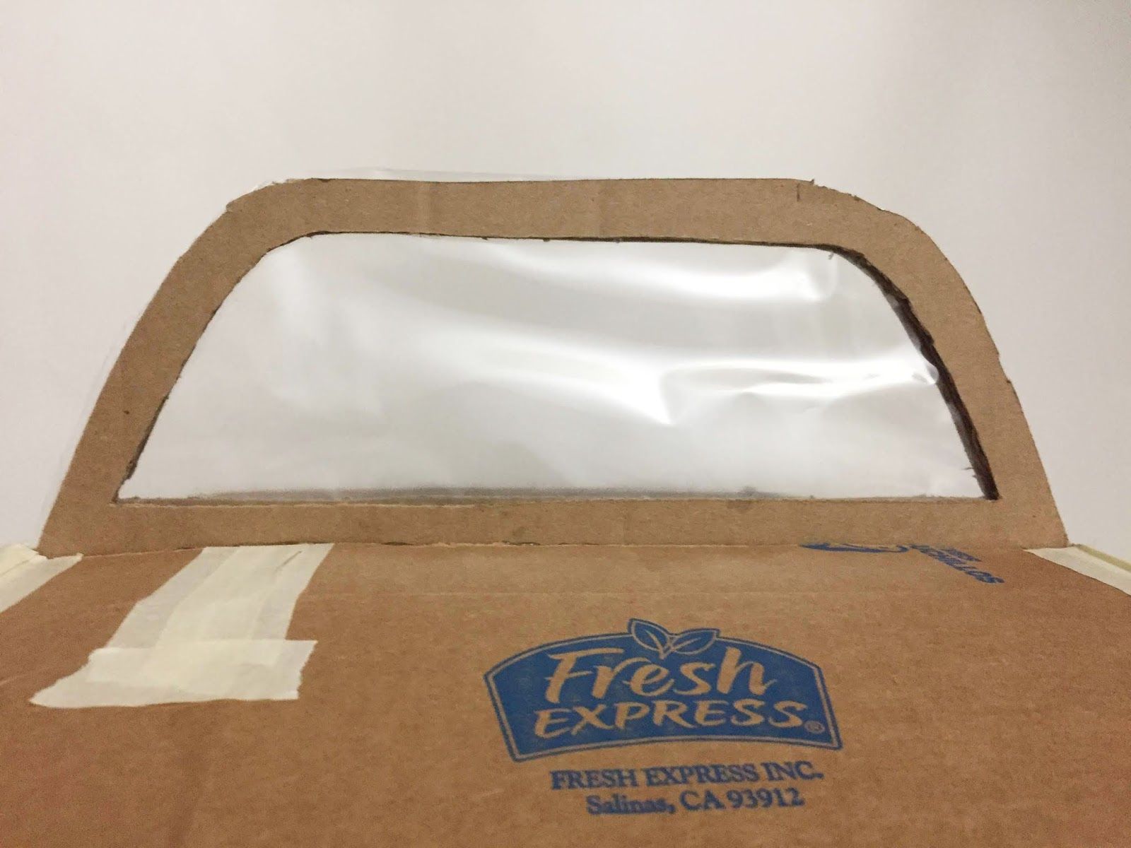 Vikalpah: DIY Car Costume