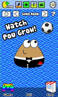 Practical PetVet®: Virtual Pets: Playing with Pou
