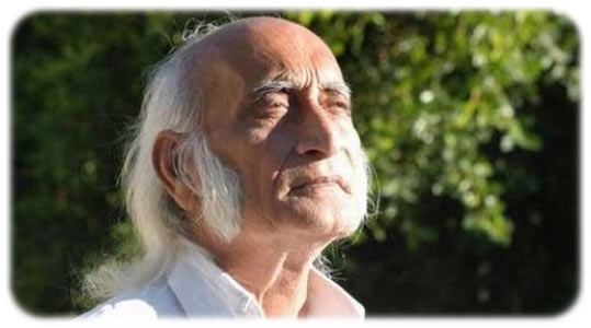 ¿Qué es Sungazing o Sun Gazing? Hira Ratan Manek | Salud y Medicina A-Z