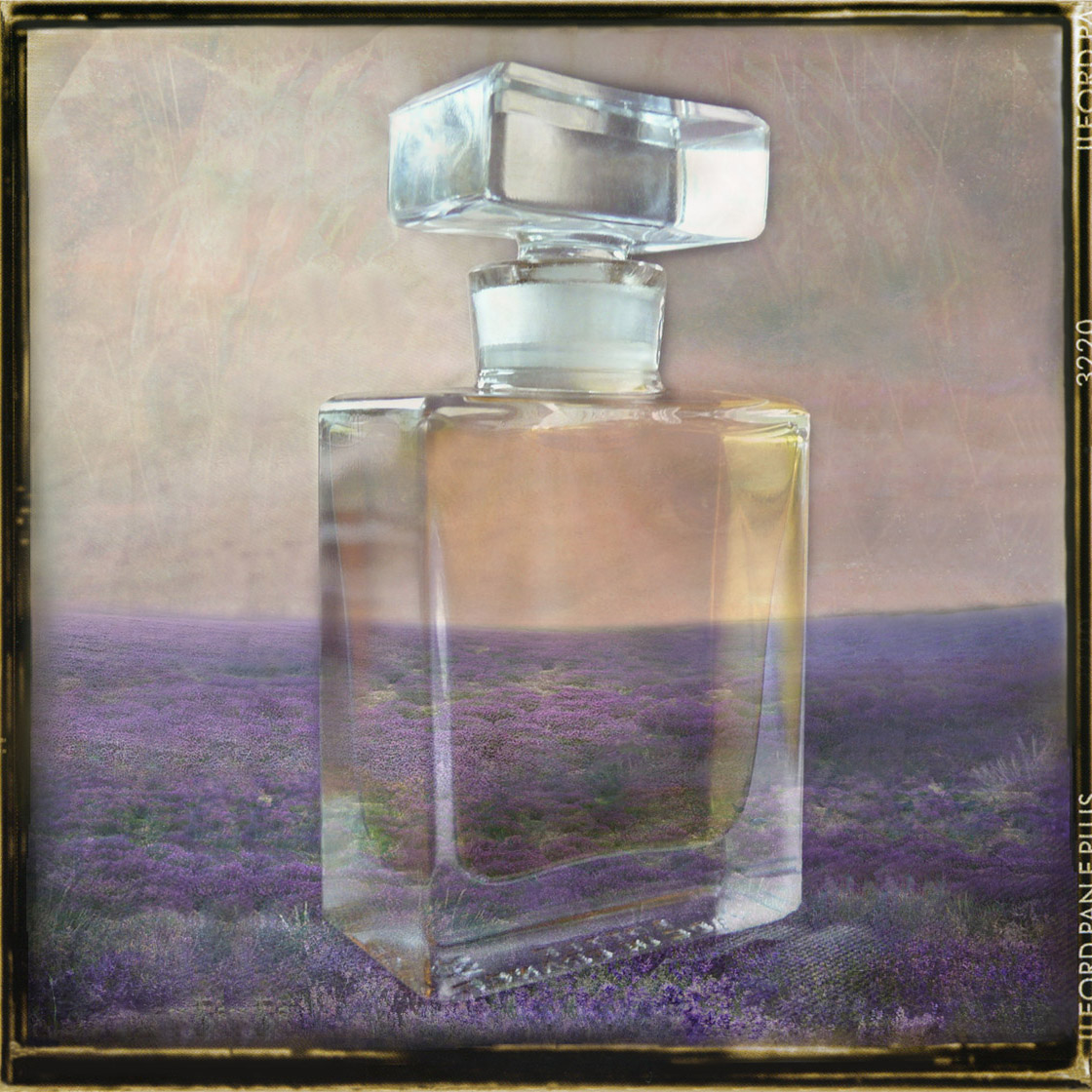 Illuminated Perfume Word Rant Wednesday illuminated-perfume-word-rant-wednesday