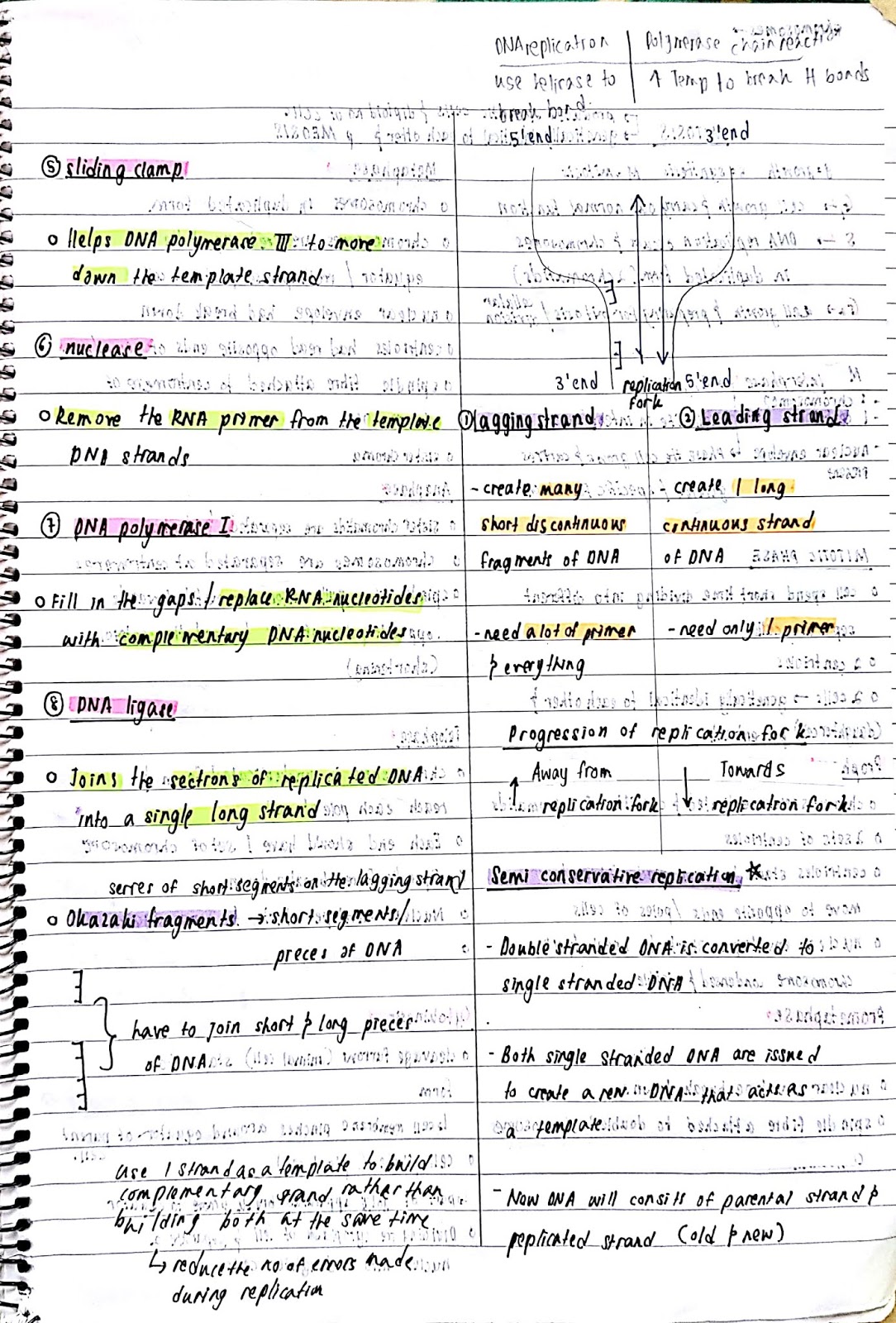 Biology Notes Semester 2 (MINE) for MUFY