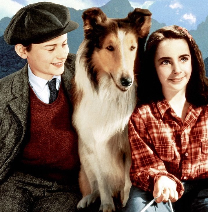 Movie Treasures By Brenda: The Best Elizabeth Taylor Movies