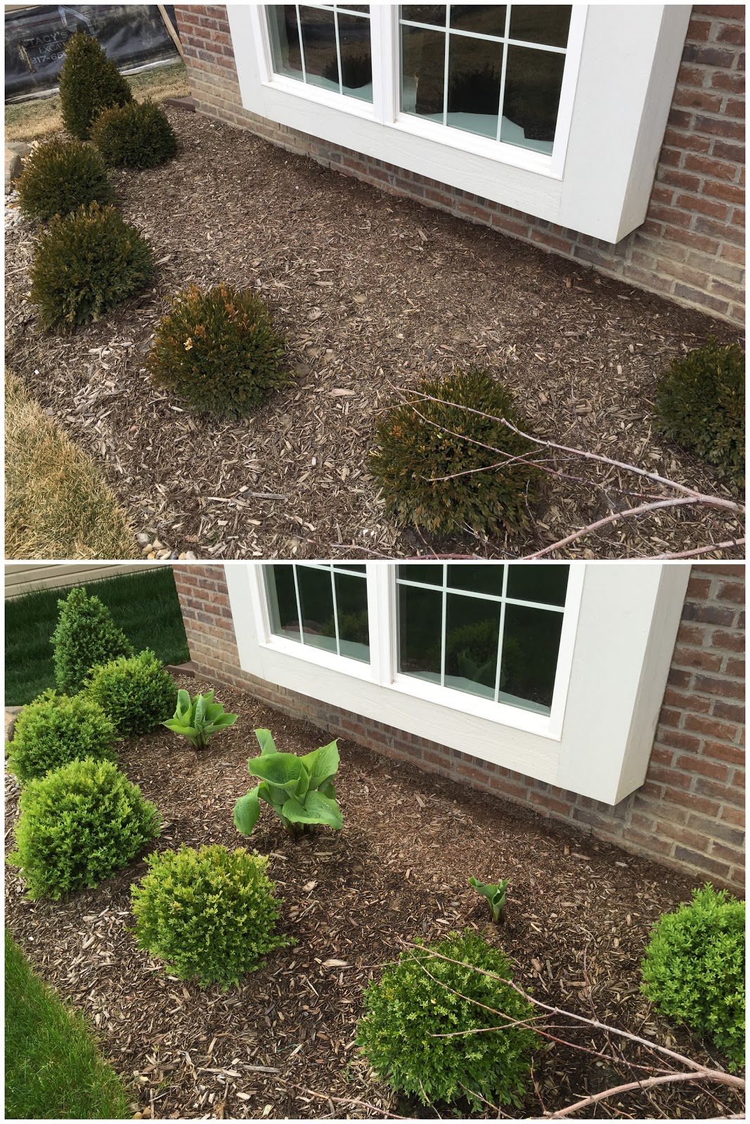 Best iPhone Before and After Photo App with Transparent Image Overlay ...