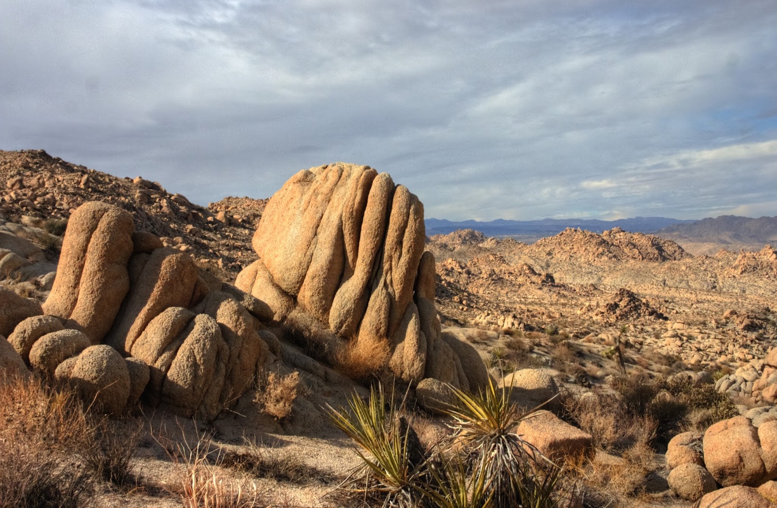 UNIQUELY JOSHUA TREE: ROCK PILES JOSHUA TREE
