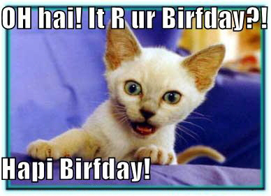 Photography: LOLCats - Happy Birthday!