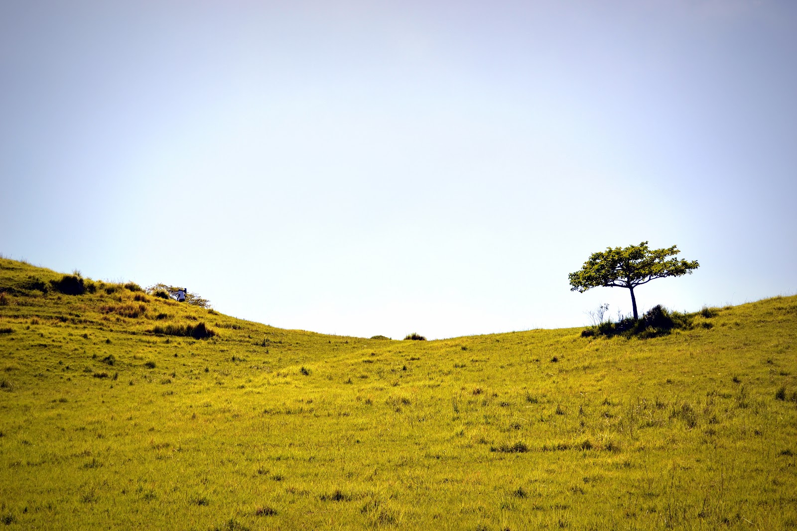 I love LIFE. I live LOVE.: Masbate: A Taste of Country II Balud Ranch ...