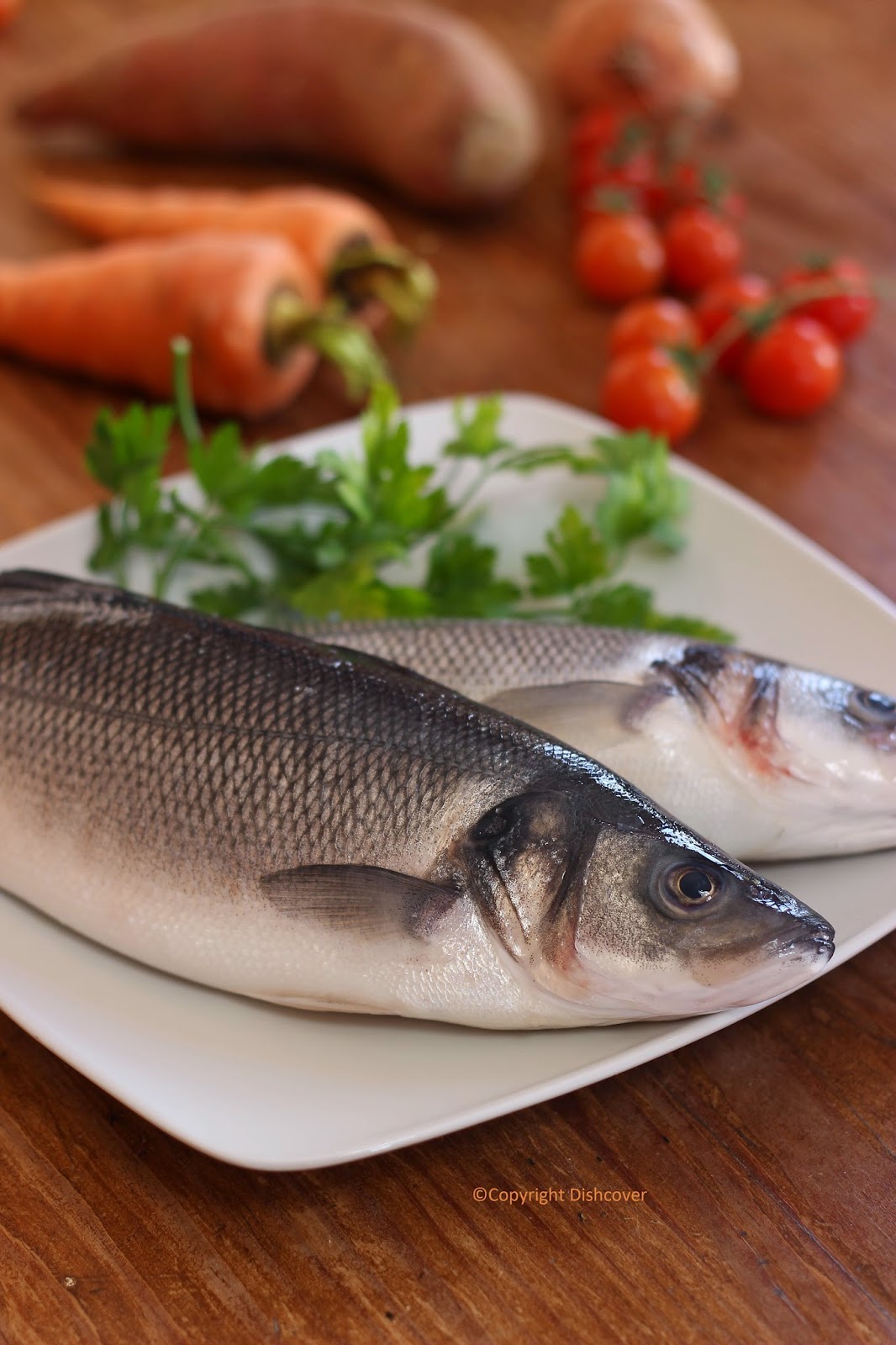 Zeebaars - Dishcover