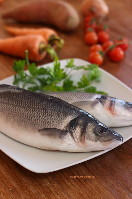 Zeebaars - Dishcover