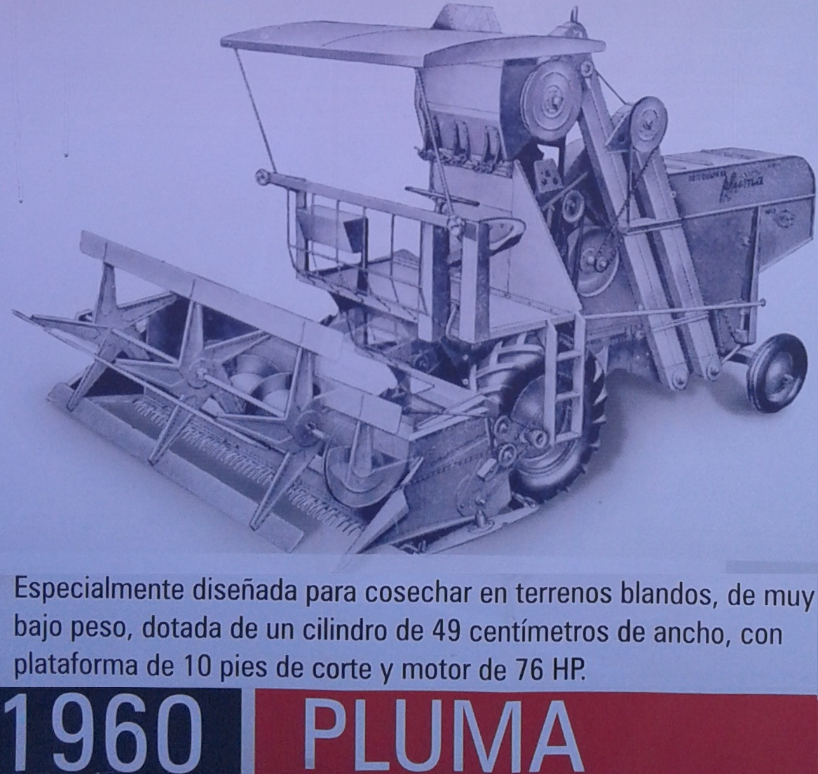 Pesados Argentinos: Pluma