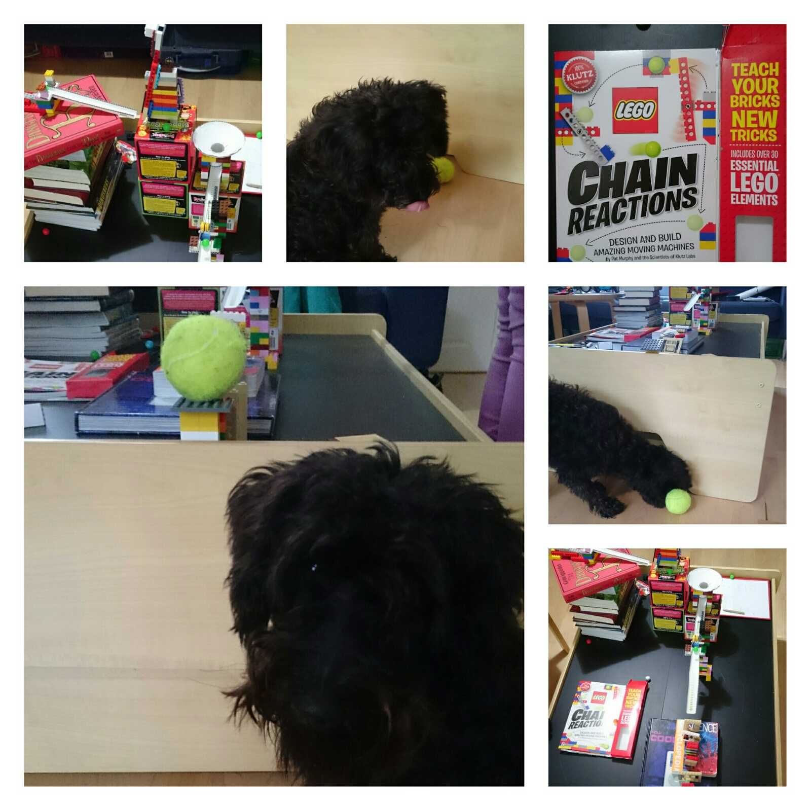 Introducing Ruby with LEGO Chain Reactions | Tech Age Kids | Technology ...