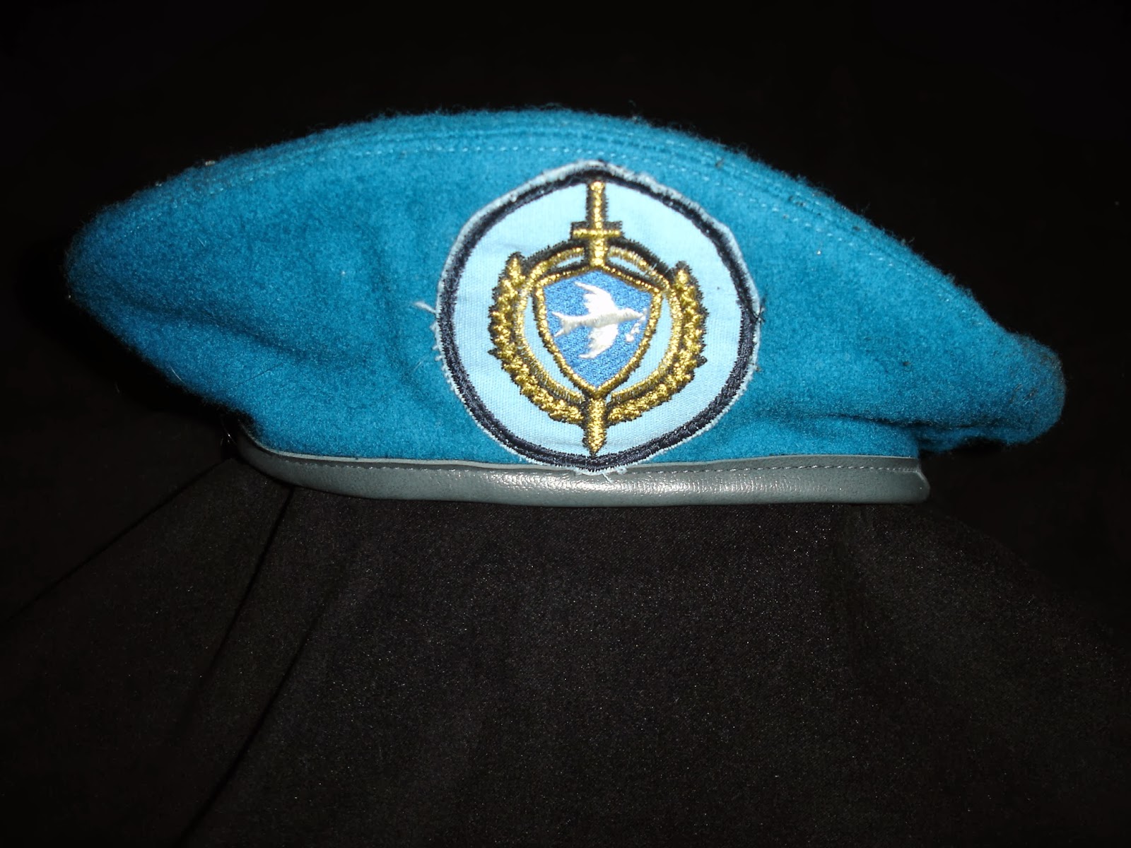 seaQuest Merchandise, Props, and Scripts: Prop, UEO Peacekeeper Blue ...