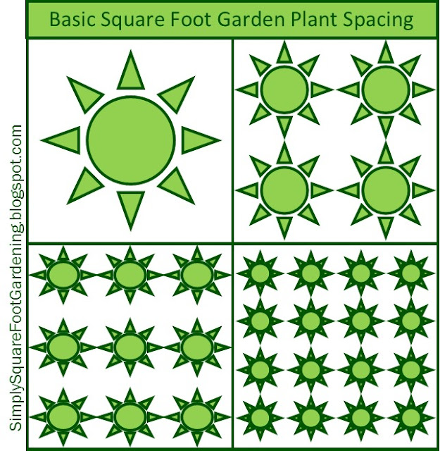 Simply Square Foot Gardening: Plant Spacing In a Square Foot Garden