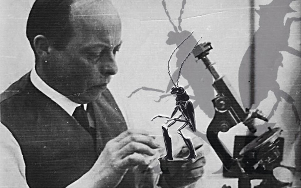 The ANIMATORIUM: Stop-Motion Animation: A Brief History Part 1