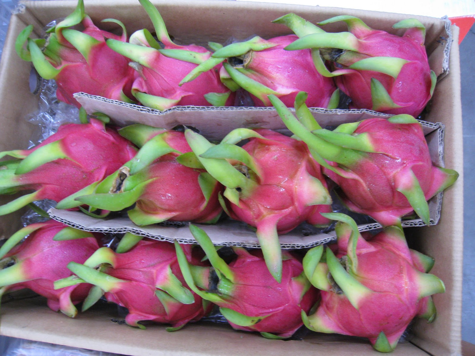 Teh Tarik Junction: Premium Fruits for Sale (Delivery to your doorsteps)