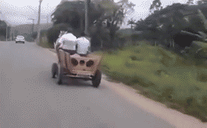 Funny animal gifs - part 215 (10 gifs) | Amazing Creatures