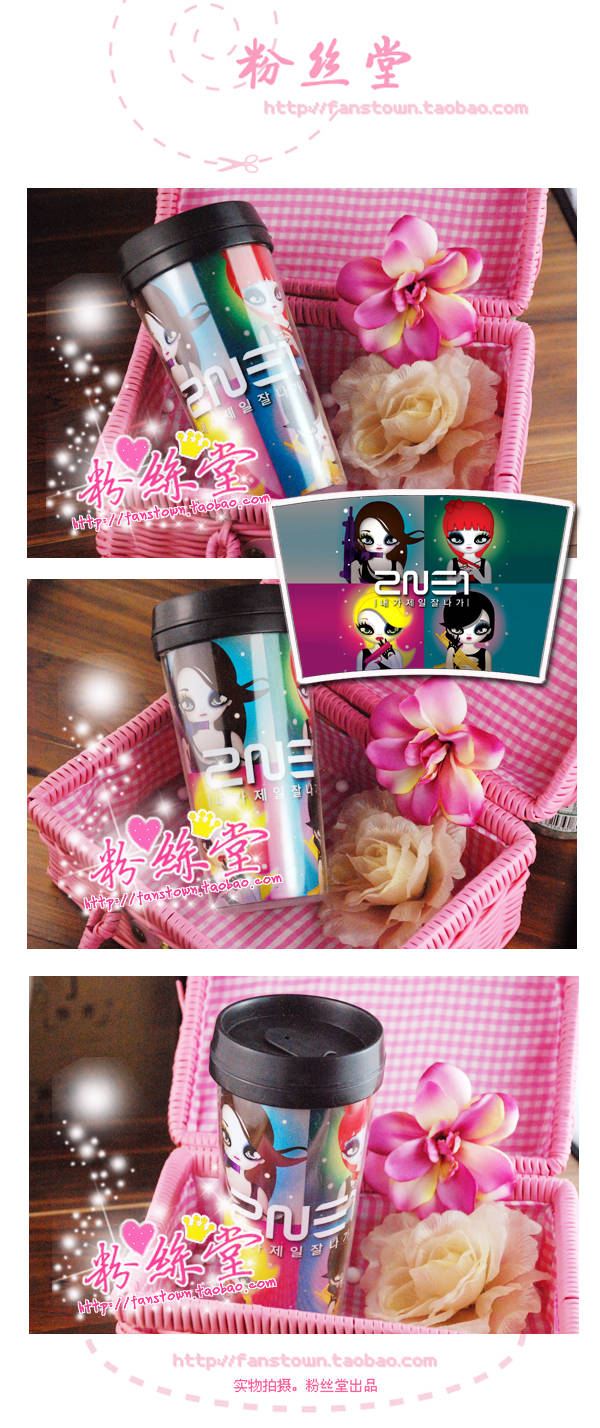 KPOP MERCHANDISE @ SG !!: 2NE1