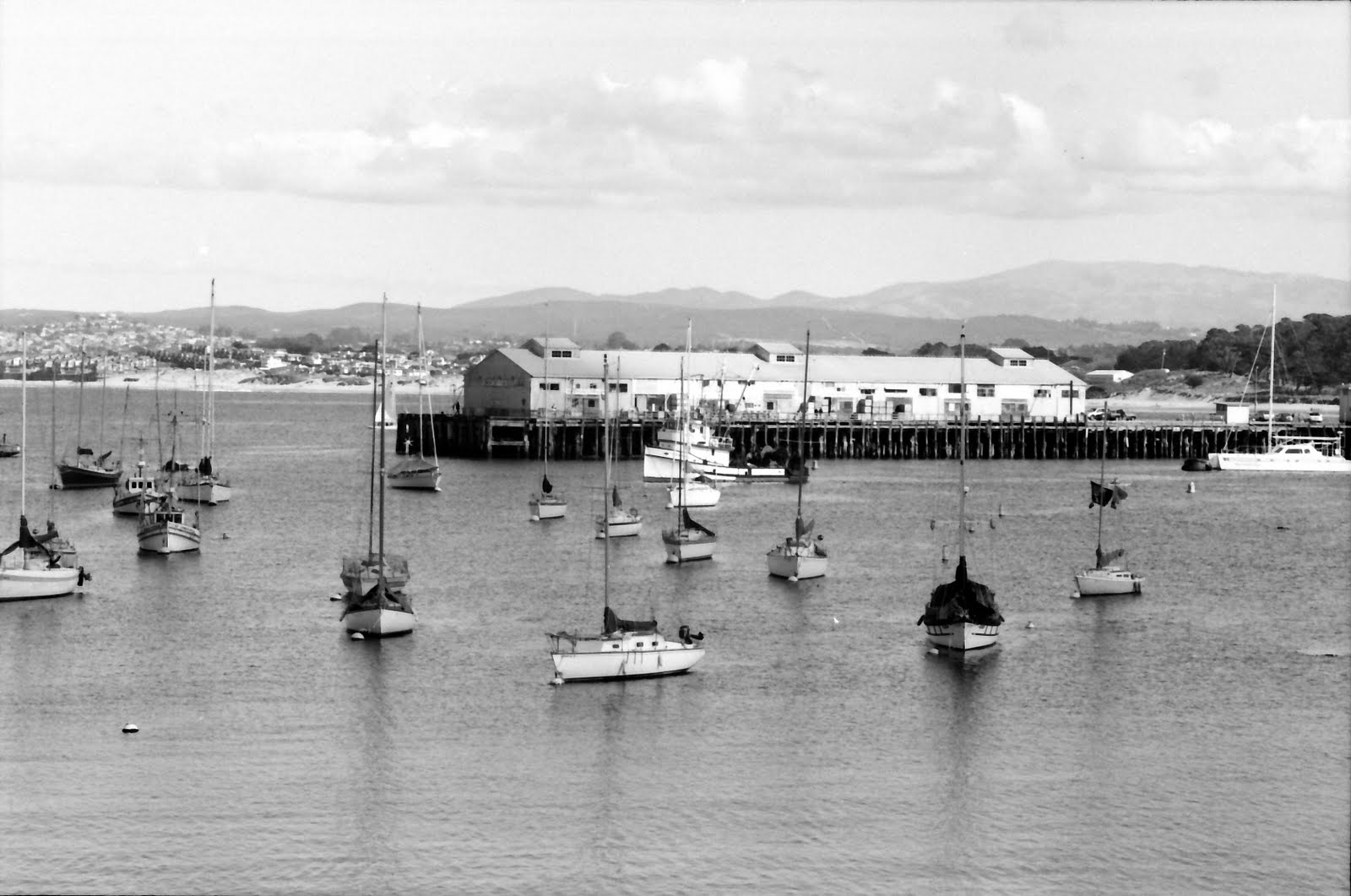 VISIONS IN BLACK AND WHITE: Old Fisherman's Wharf, Monterey, California
