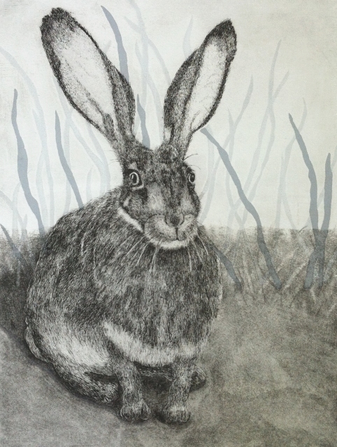 Anne E May Impressions: Jack Rabbit Etching