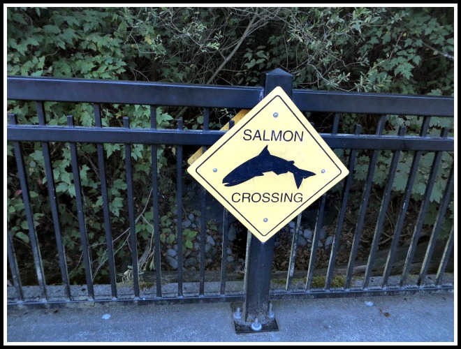 Three BCs and .....: Vancouver