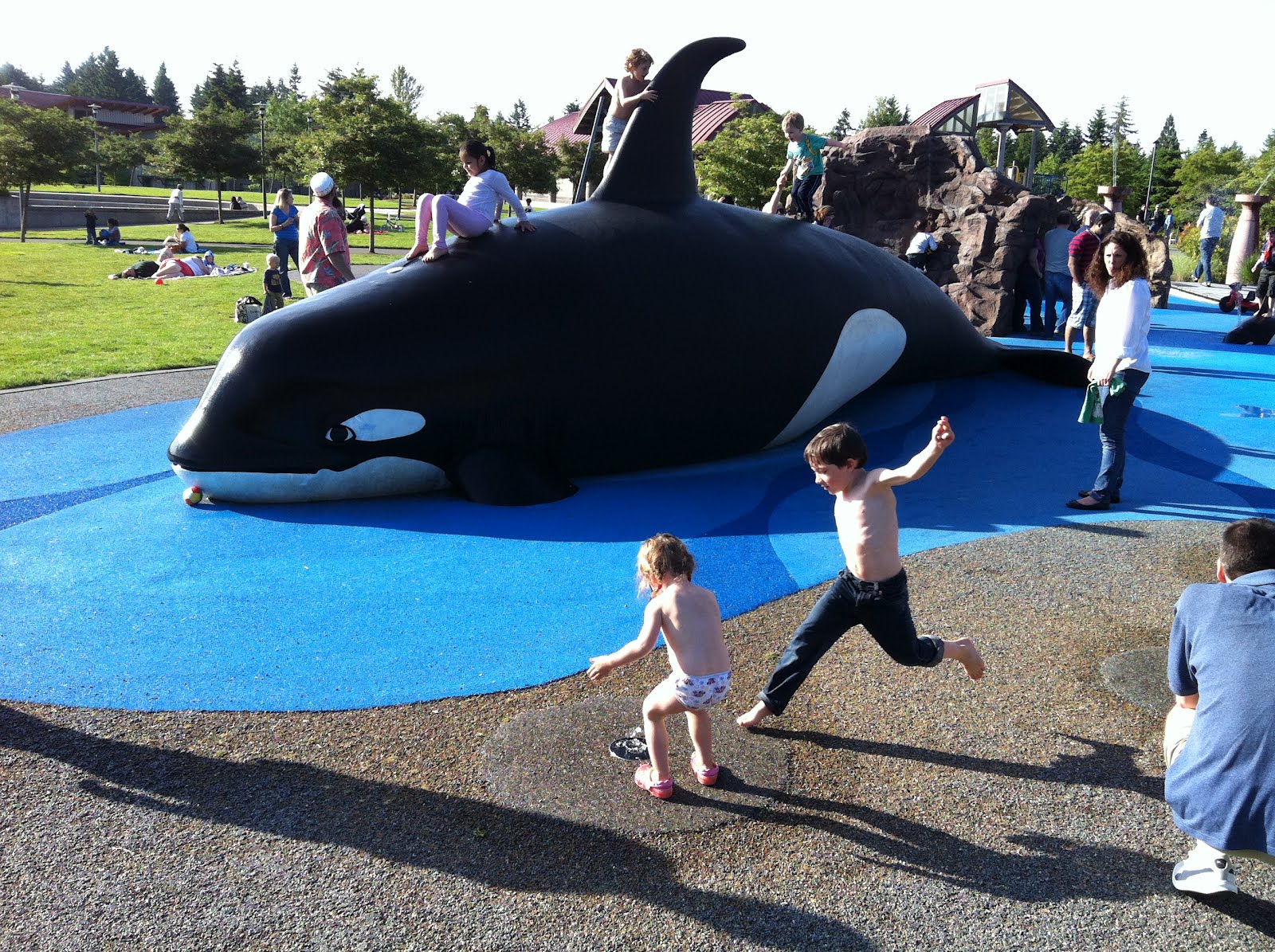 Smith-Baran Family: Cool orca whale spray park!!