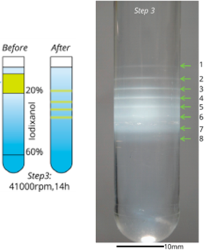 nanoscale views: Amazingly clear results: density gradient ...