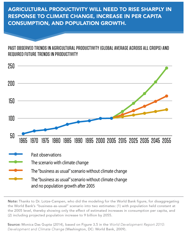 Weeks Population: The World's Demographic Divide