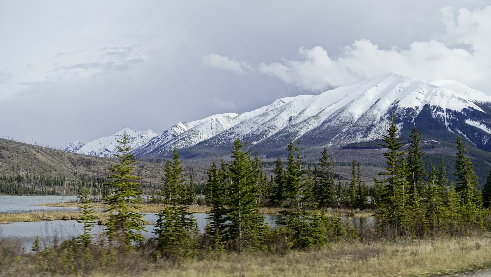 In The Back Of Beyond: Alberta, Edmonton and Rocky Mountains