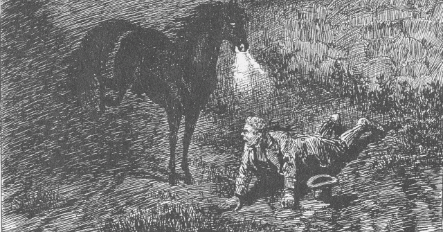 La Toile à Nolwenn: Le Cheval Mallet