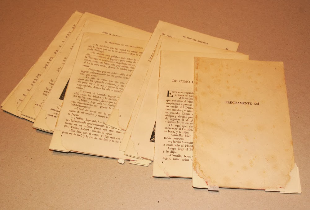 reino artesanal: REPARACIÓN DE LIBRO MORDIDO