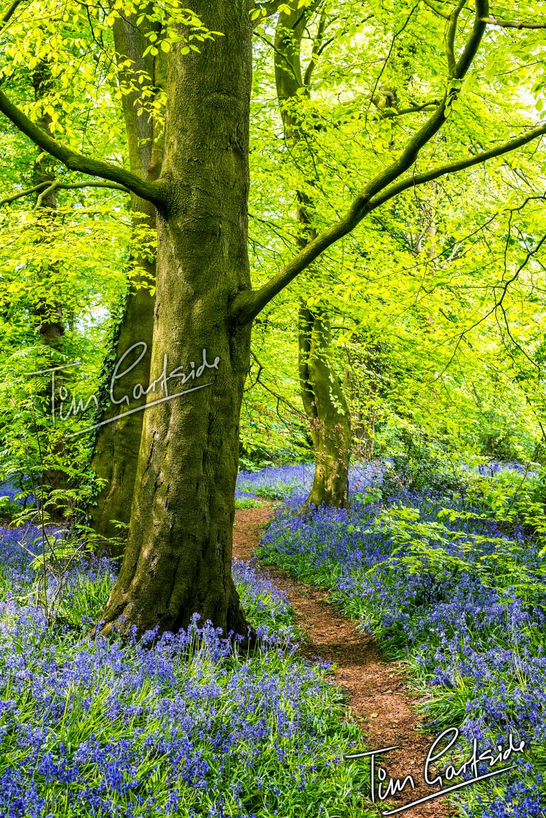 Tim Gartside Photography Workshop Blog