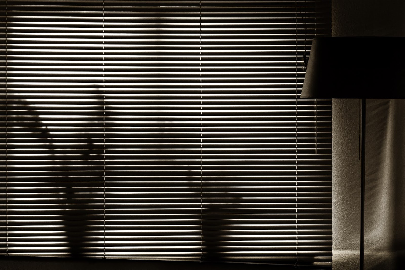 Matthew G Beall :: Vision Driven Photography