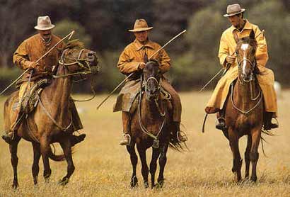 Sanremo Buongiorno!: I BUTTERI MAREMMANI ARRIVANO A SAN ROMOLO