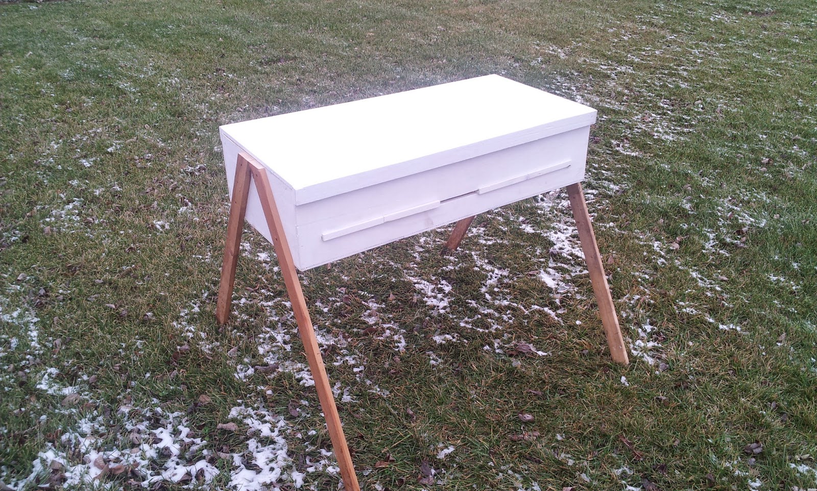 Beekeeping Journal: Horizontal vs. Vertical Hives