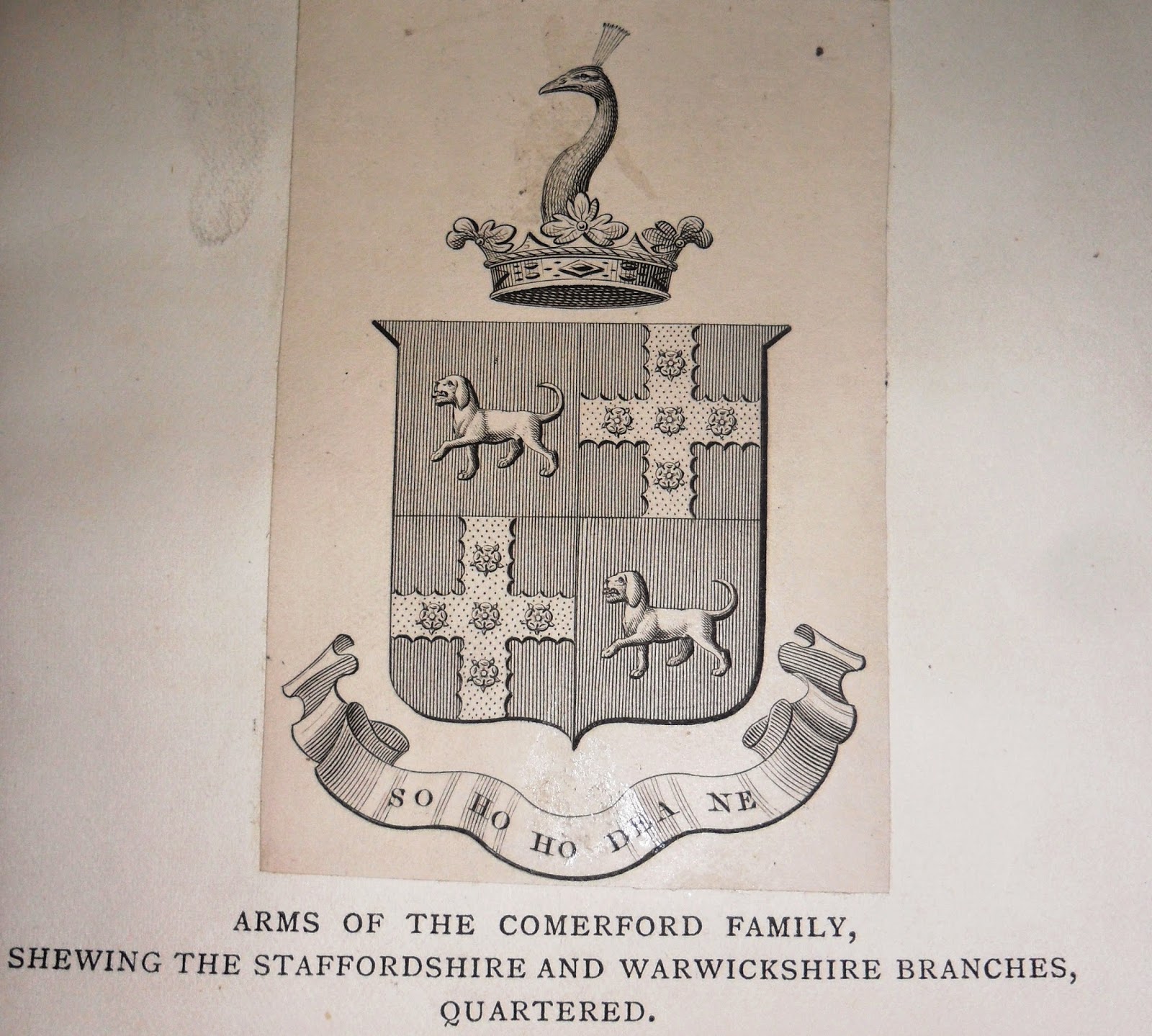 Patrick Comerford: A transcript of ‘Some records of the Comerford ...