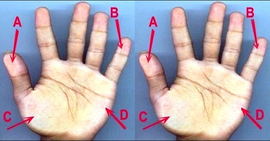 Wanita Dengan 5 Jenis Tangan Ini Tidak Akan Kekurangan Uang Seumur ...