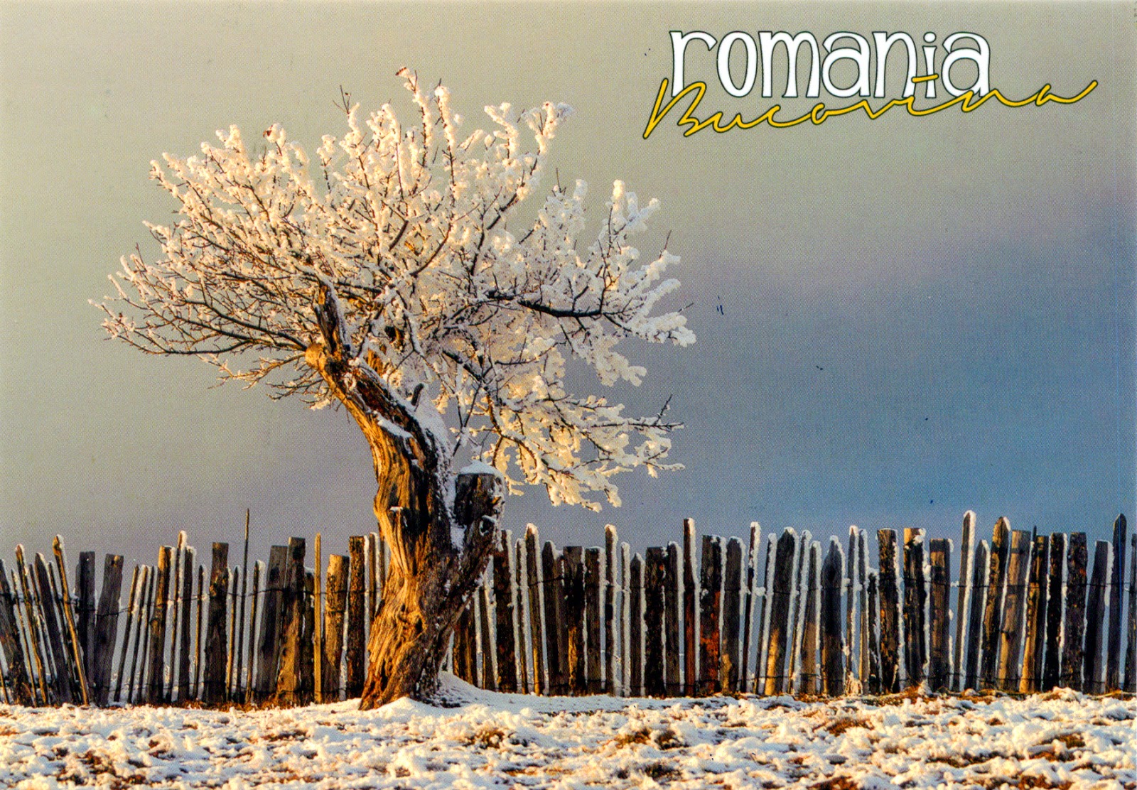 WORLD, COME TO MY HOME!: 0344, 1387 ROMANIA (Suceava) - The Old and ...