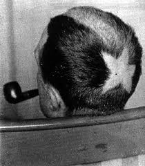 MIMEO MIMEO: The Tropological Space of Locus Solus