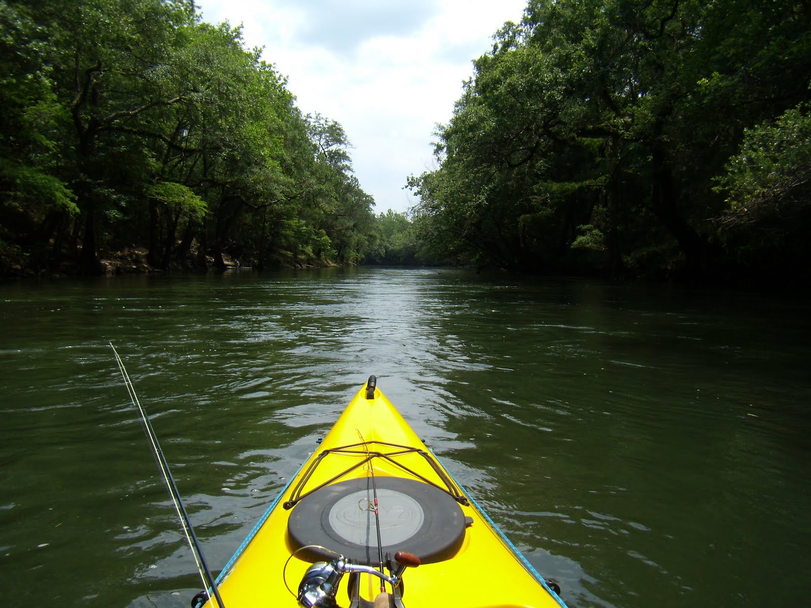 The Flying Kayak: A Look Back: Chipola River Fishing Summer 2009