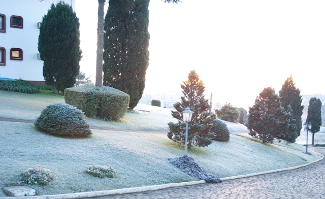 TURISMO ON LINE: FÉRIAS EM FRAIBURGO