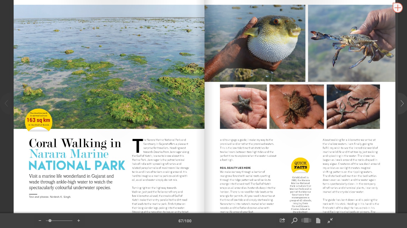 Just Tripping!: Coral Walking in Narara Marine National Park