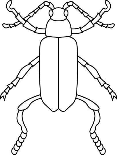 imagini de colorat gandaci insecte ~ Desene Imagini de colorat